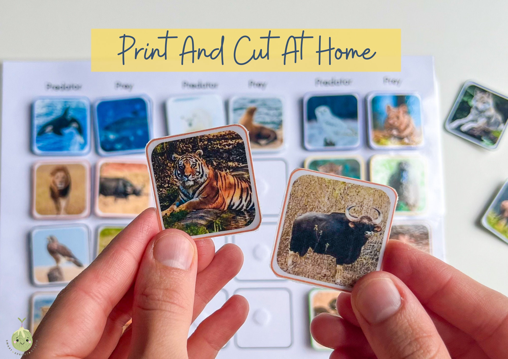 Animal Educational Activities for Preschool Predator and Prey Animal ...