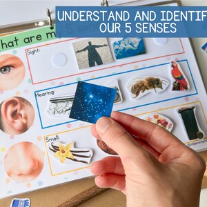 My Body Busy Book Printable Toddler Activities Preschool Curriculum ...