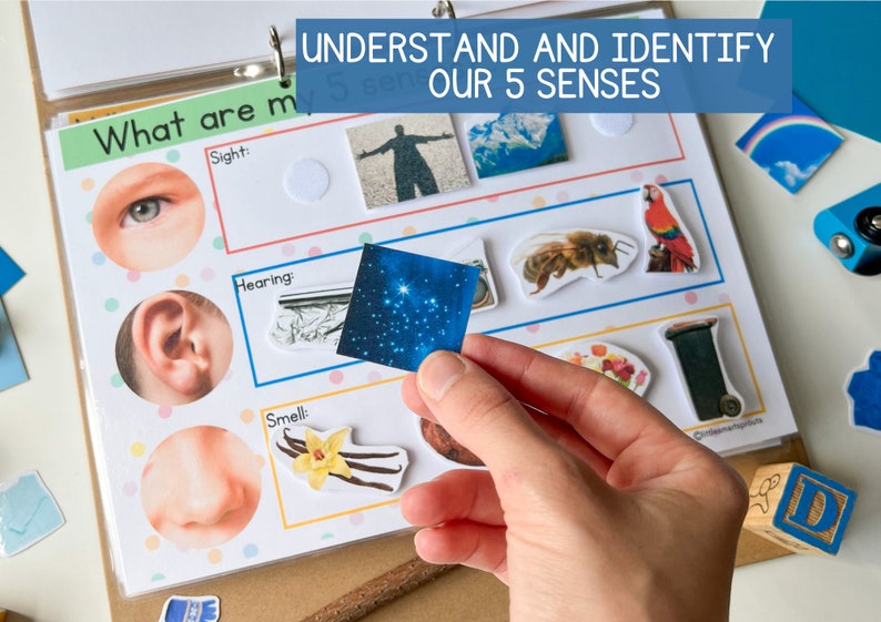 My Body Busy Book Printable Toddler Activities Preschool Curriculum ...