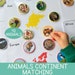 Apple Life Cycle Autumn Printable Worksheet Fall Activity for Toddlers ...