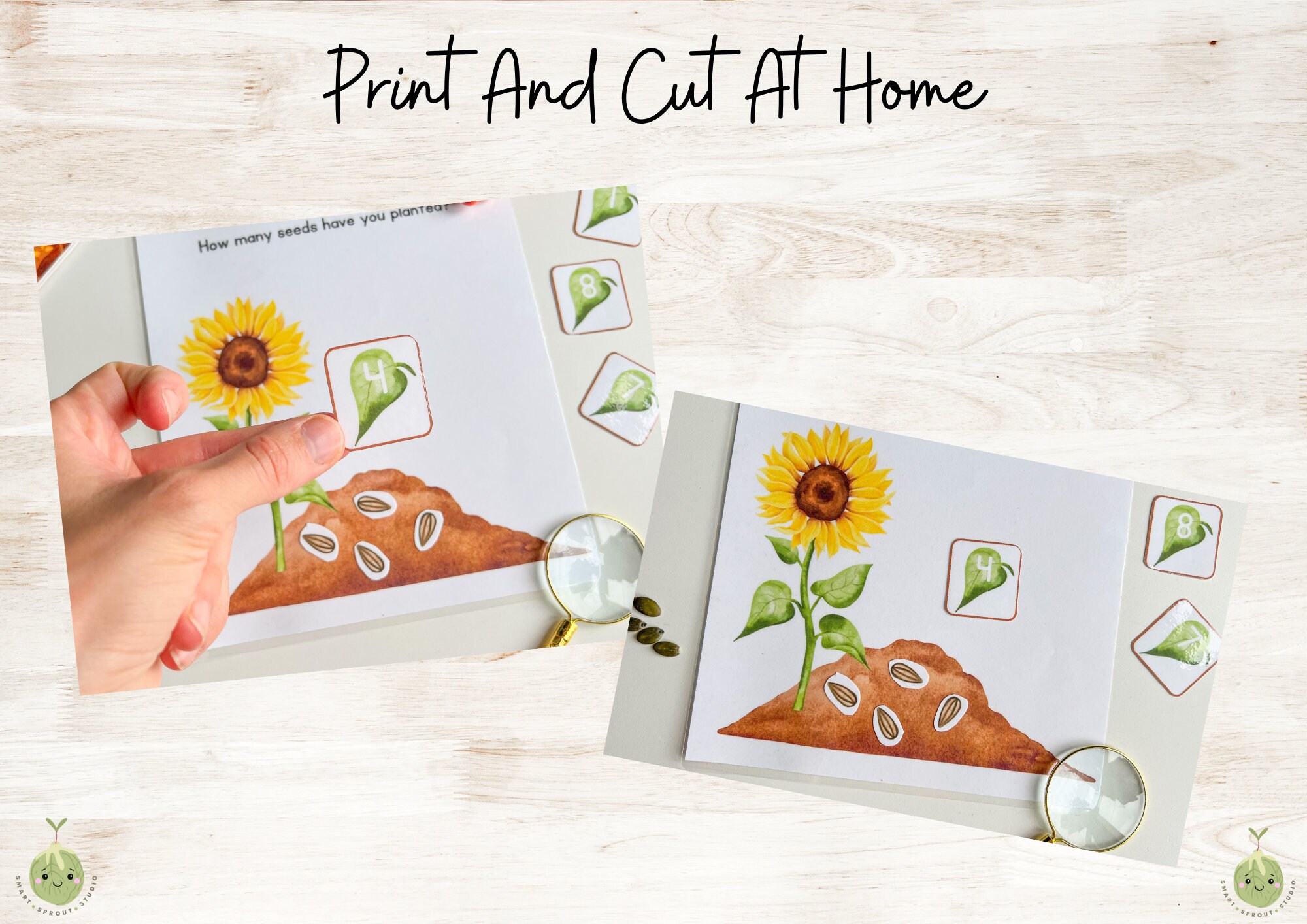 Sunflower Math Counting Fall Educational Activities for Toddlers ...