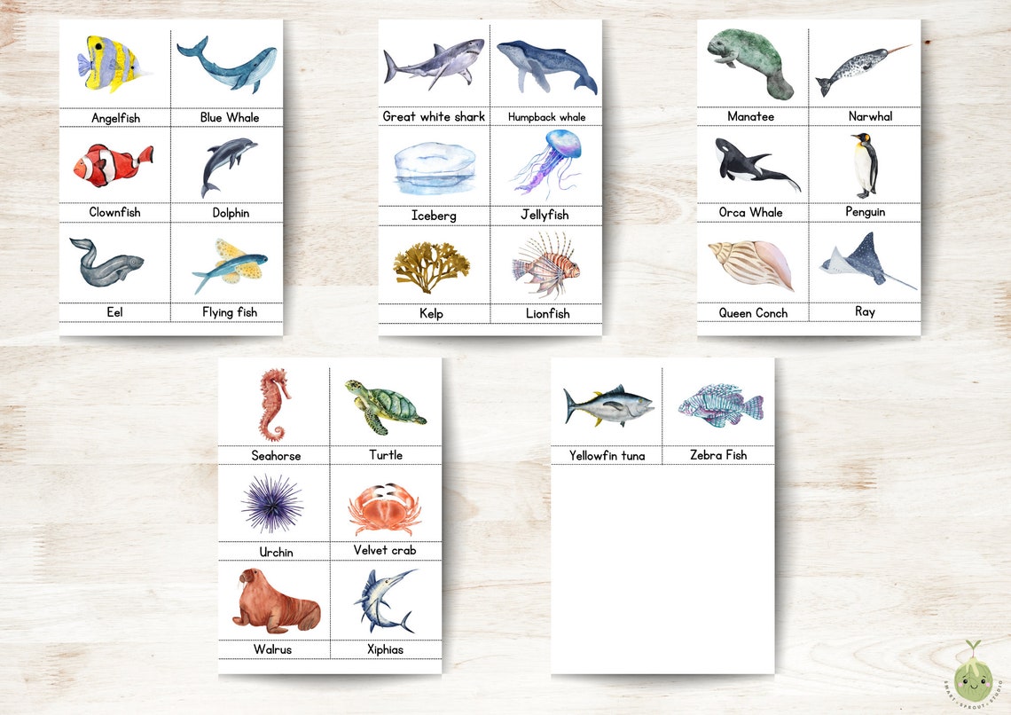 Ocean Flash Cards Animal Flash Cards for Toddlers Montessori Homeschool ...