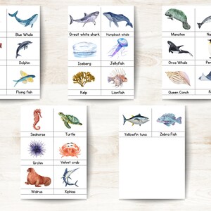Ocean Flash Cards Animal Flash Cards for Toddlers Montessori Homeschool ...