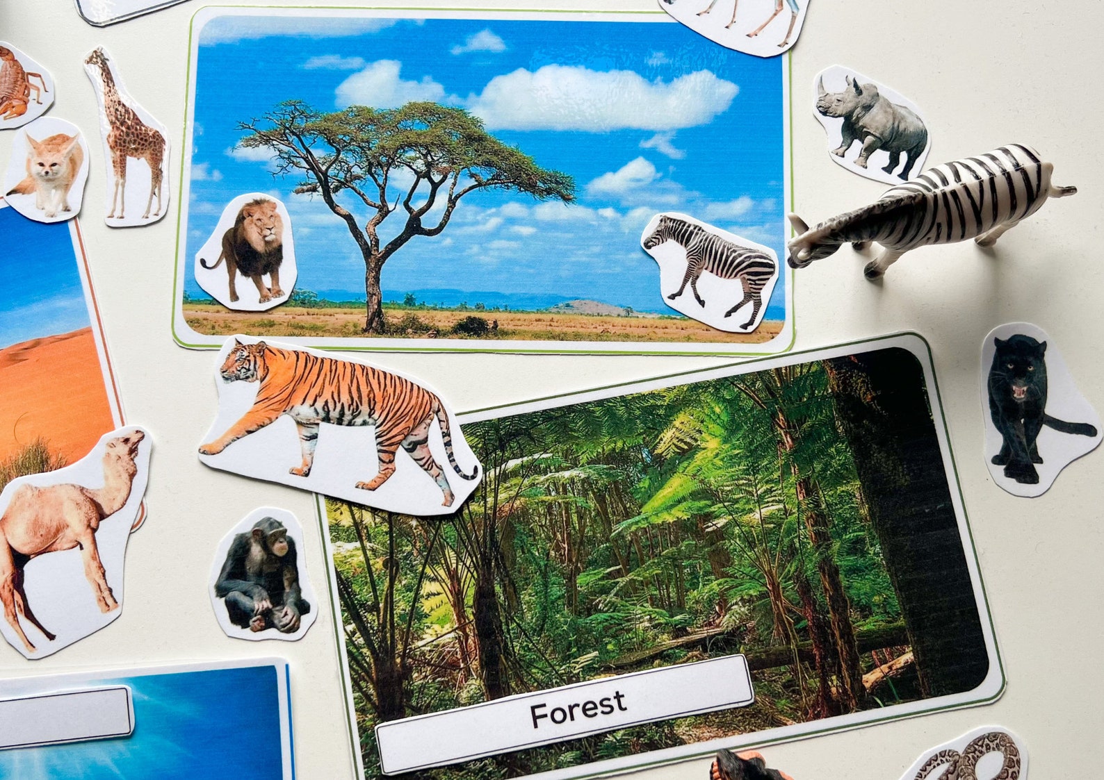 Animal Matching Habitat Unit Study Printable Homeschool Activities for ...