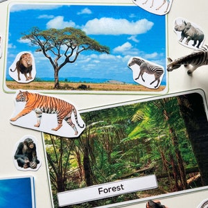 Animal Matching Habitat Unit Study Printable Homeschool Activities for ...