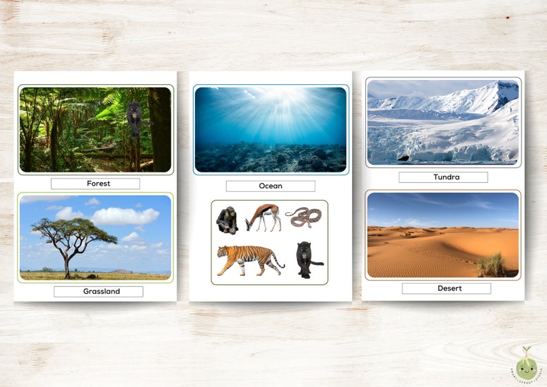 Animal Matching Habitat Unit Study Printable Homeschool Activities for ...