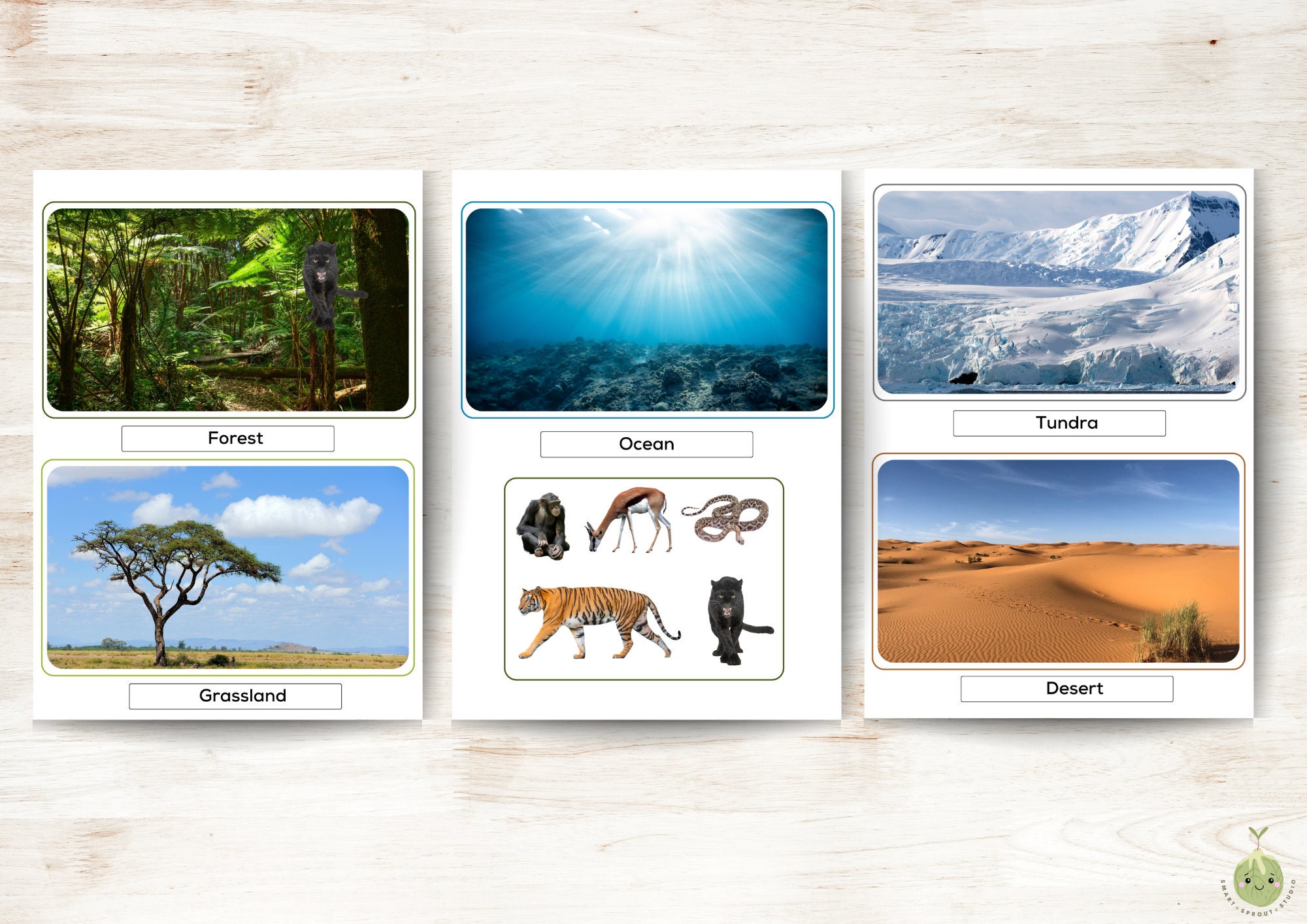 Animal Matching Habitat Unit Study Printable Homeschool Activities for ...