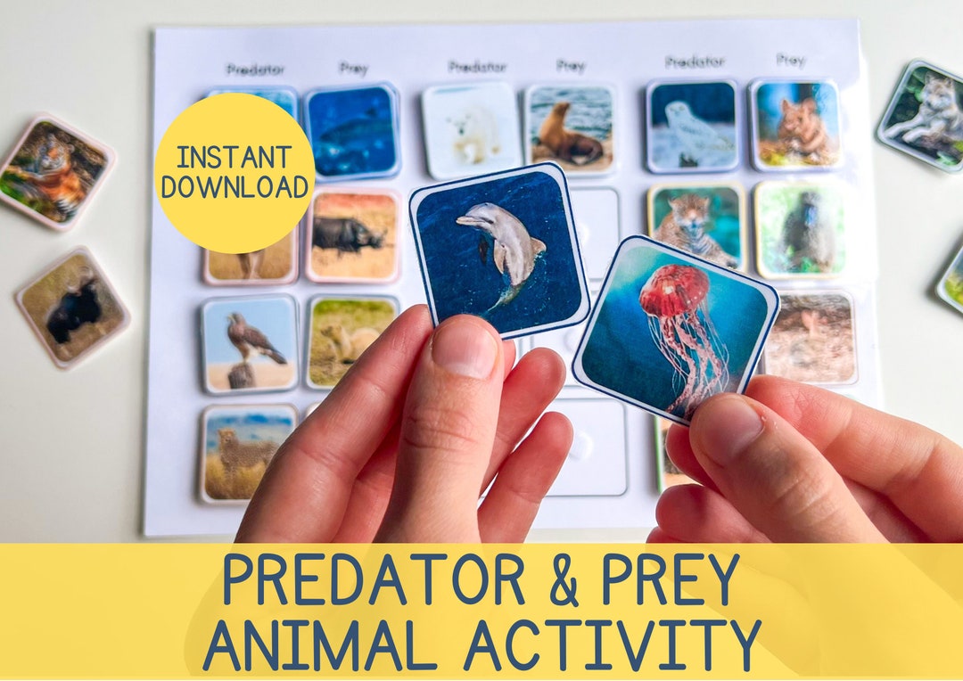 Animal Educational Activities for Preschool Predator and Prey Animal ...