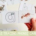 Alphabet Tracing Phonetic Cards Printable for Toddlers Montessori ...