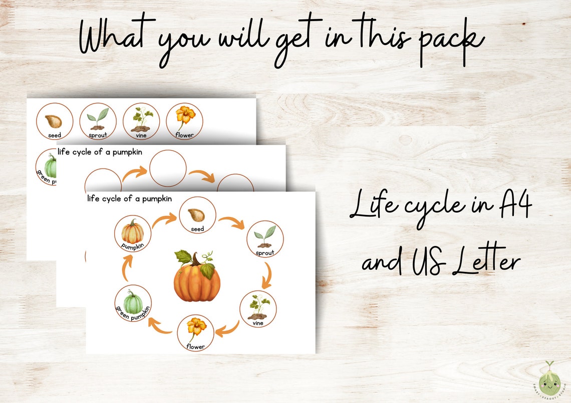 Life Cycle of a Pumpkin Activity for Todllers Busy Book Insert - Etsy