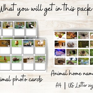 Animal Educational Activity Home Naming and Matching Printable Science ...