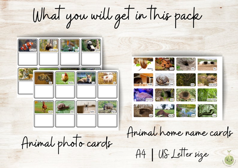 Animal Educational Activity Home Naming and Matching Printable Science ...