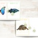 Animal Classification Anatomy Unit Study Printable Homeschool ...