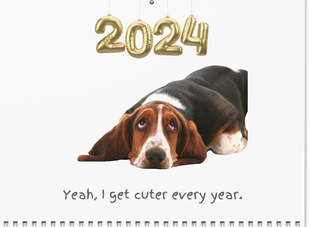 2024 Wall Calendar Funny for Dog Lovers Calendar for Basset Hound Mom ...