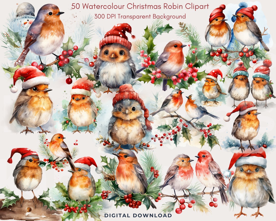 Watercolor Christmas Robin Clipart 50 Transparent PNG - Etsy