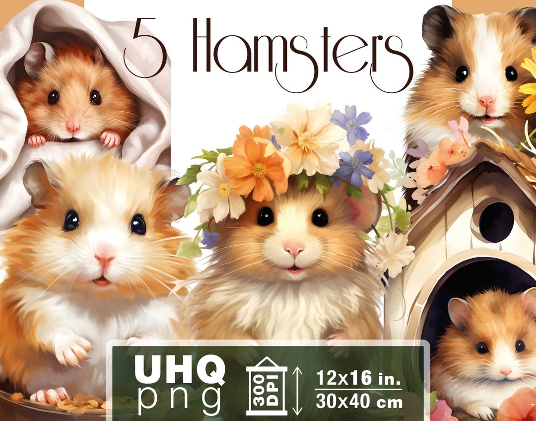 Work & Print - 5 Png Bundle Cute Hamsters - 300 DPI, 12x16in / 30x40 Cm ...