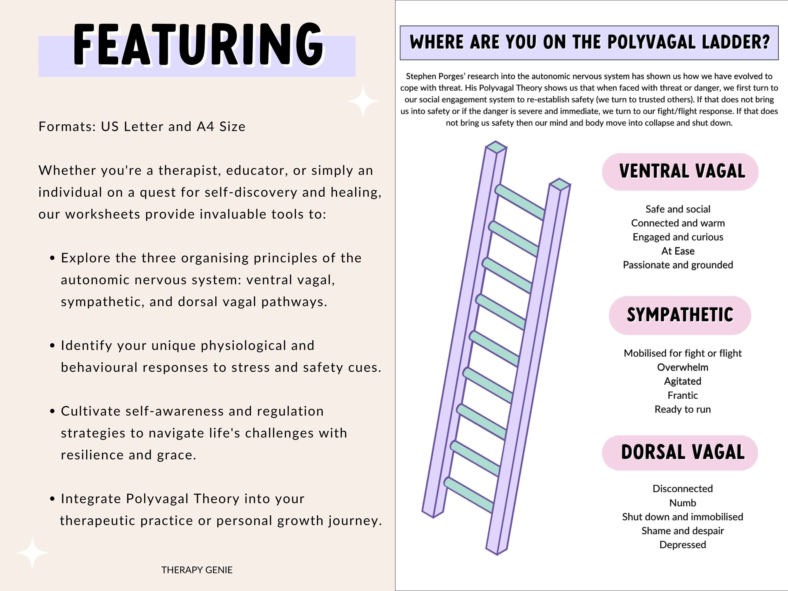 Polyvagal Theory Cheatsheet for Nervous System Regulation Polyvagal ...