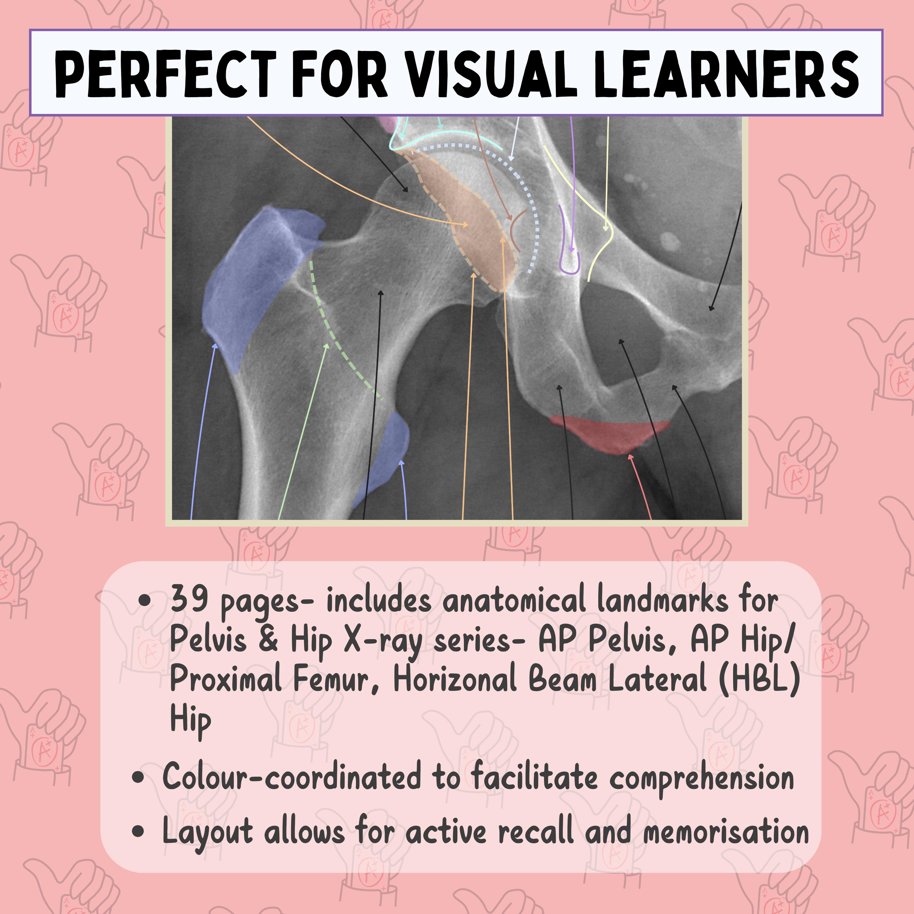 2026 Pelvis, Femur & Hip X-ray Anatomy, AP and Horizontal Beam Study ...