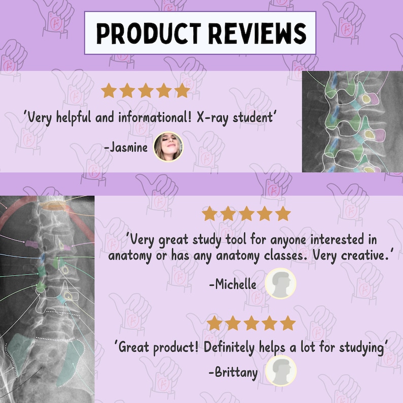 2025 Axial Skeleton X-ray Anatomy Bundle 333 Pages, Radiography Study Bundle for Rad Techs ...