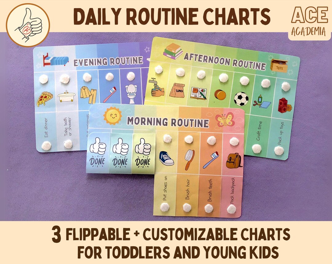 Morning, Afternoon & Evening Routine Chart, Flippable and Customizable ...