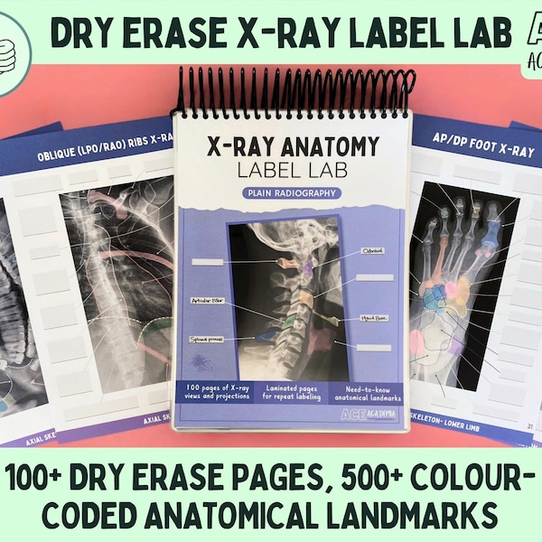 Cat Chest X Ray - Etsy Australia