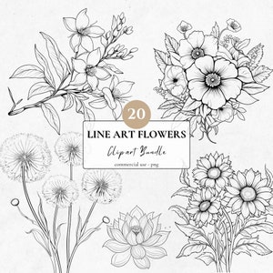Line Art Flowers Clipart Bundle: 20 PNG Floral Outlines (digital Art ...