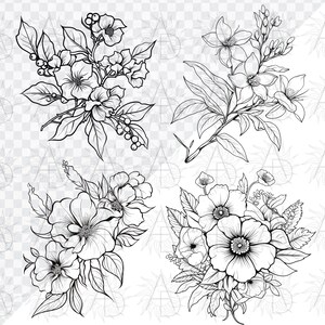 Line Art Flowers Clipart Bundle: 20 PNG Floral Outlines (digital Art ...