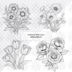 Line Art Flowers Clipart Bundle: 20 PNG Floral Outlines (digital Art ...