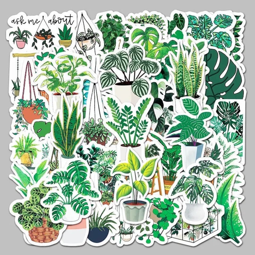 Plant Stickers, Botanical Stickers, Plant Lover Stickers, Nature ...