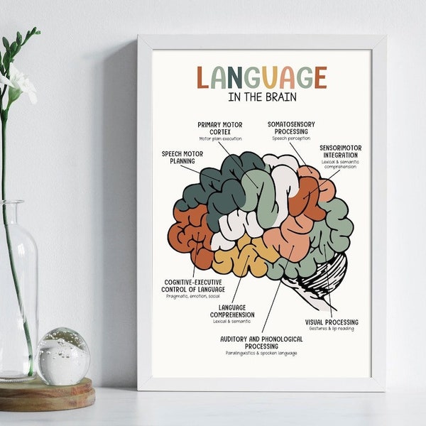 Speech Anatomy Art - Etsy