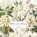 White and Cream Flowers Printable Pages // 60 Vintage Inspired Fussy ...