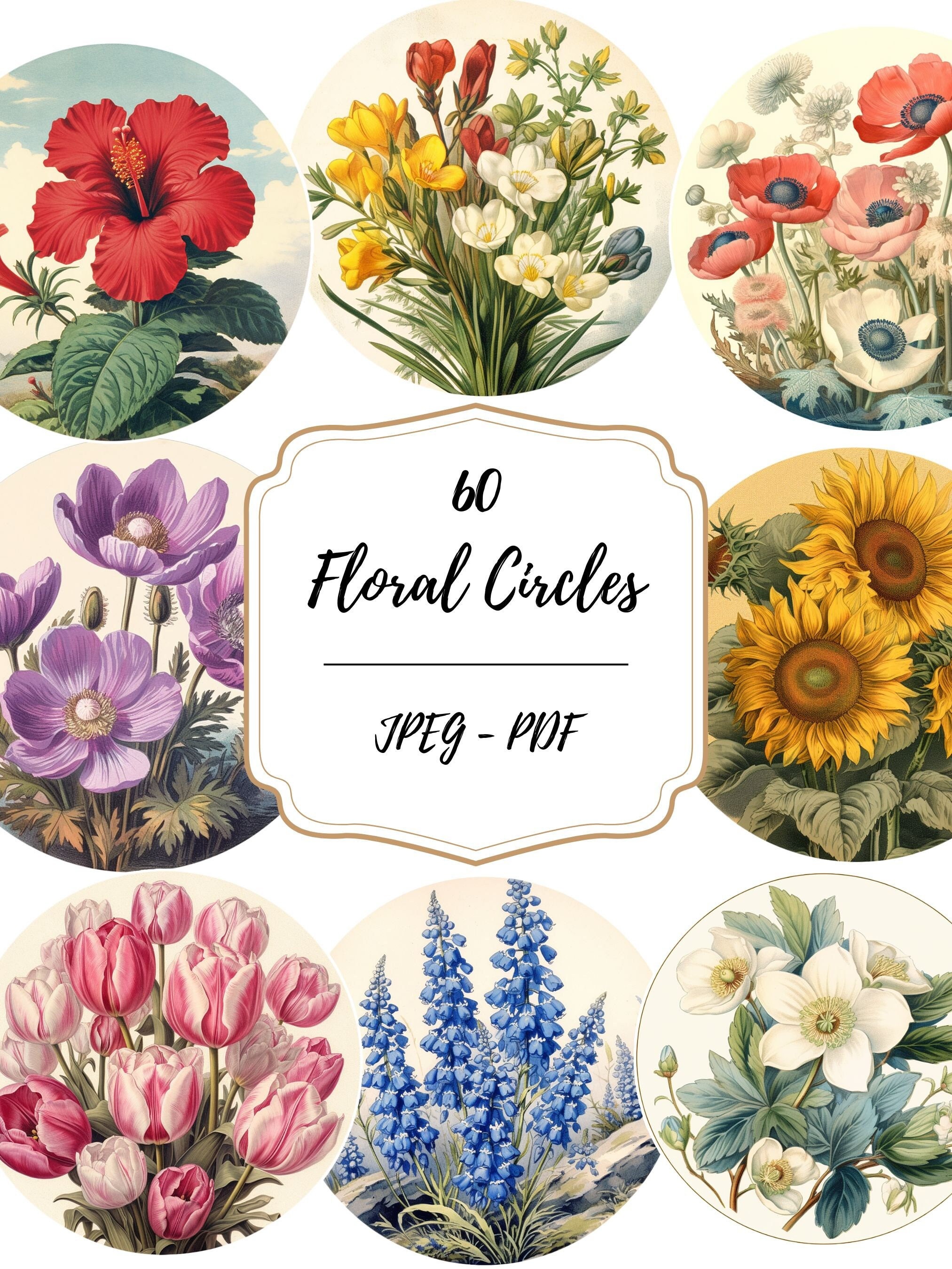 Floral Circles Printable Pages // 60 Vintage Inspired Fussy - Etsy