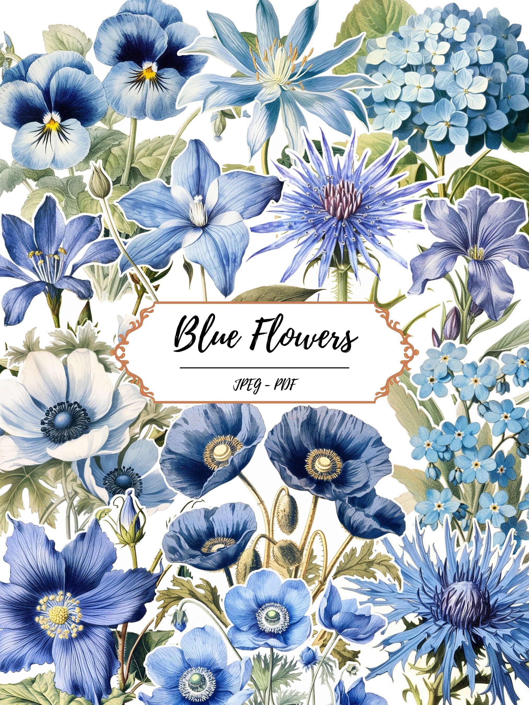 Blue Flowers Digital Ephemera Printable Pages // 60 Vintage Inspired ...
