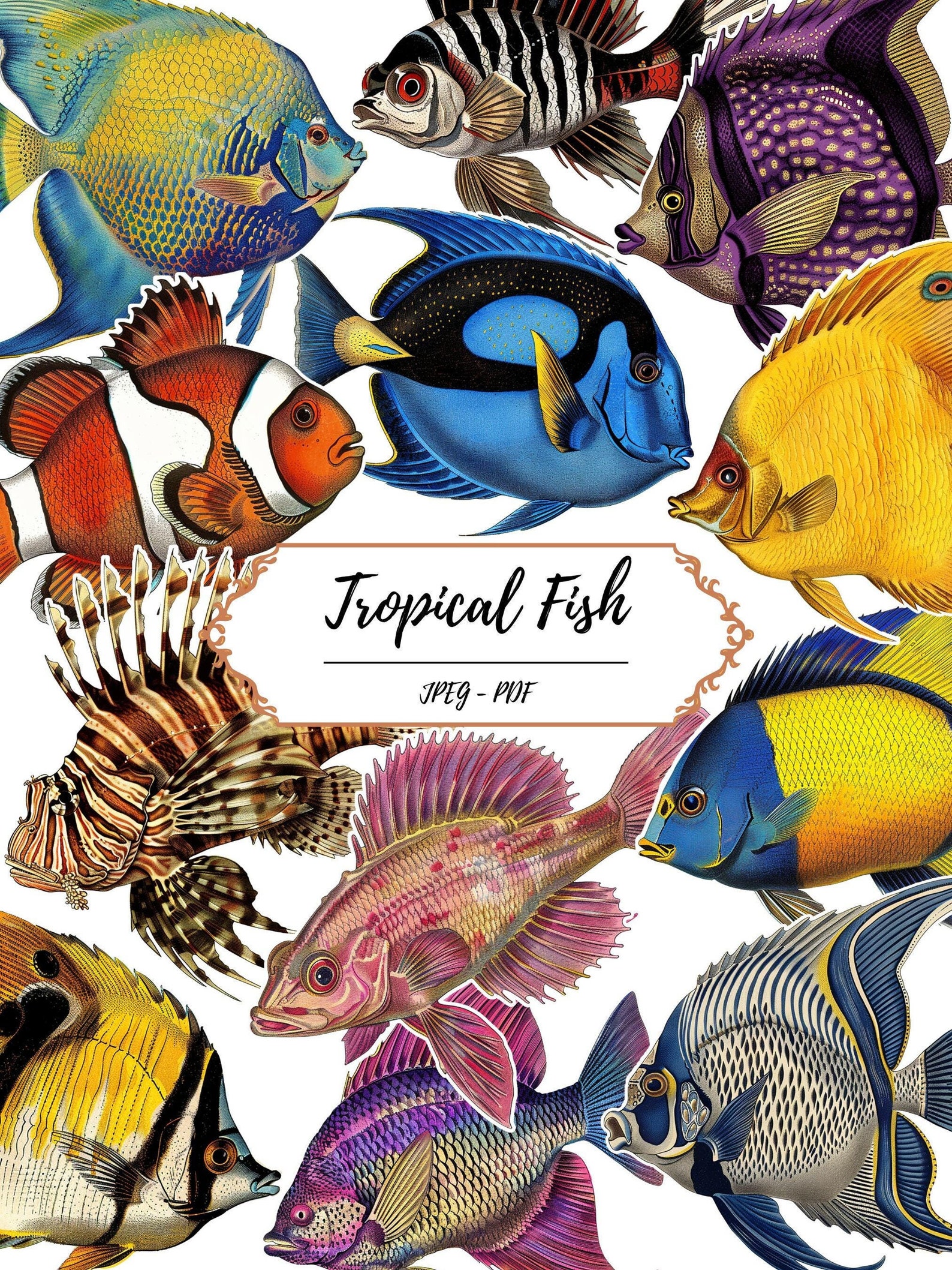 Tropical Fish Fussy Cut Printable Pages // 60 Vintage Inspired Image ...