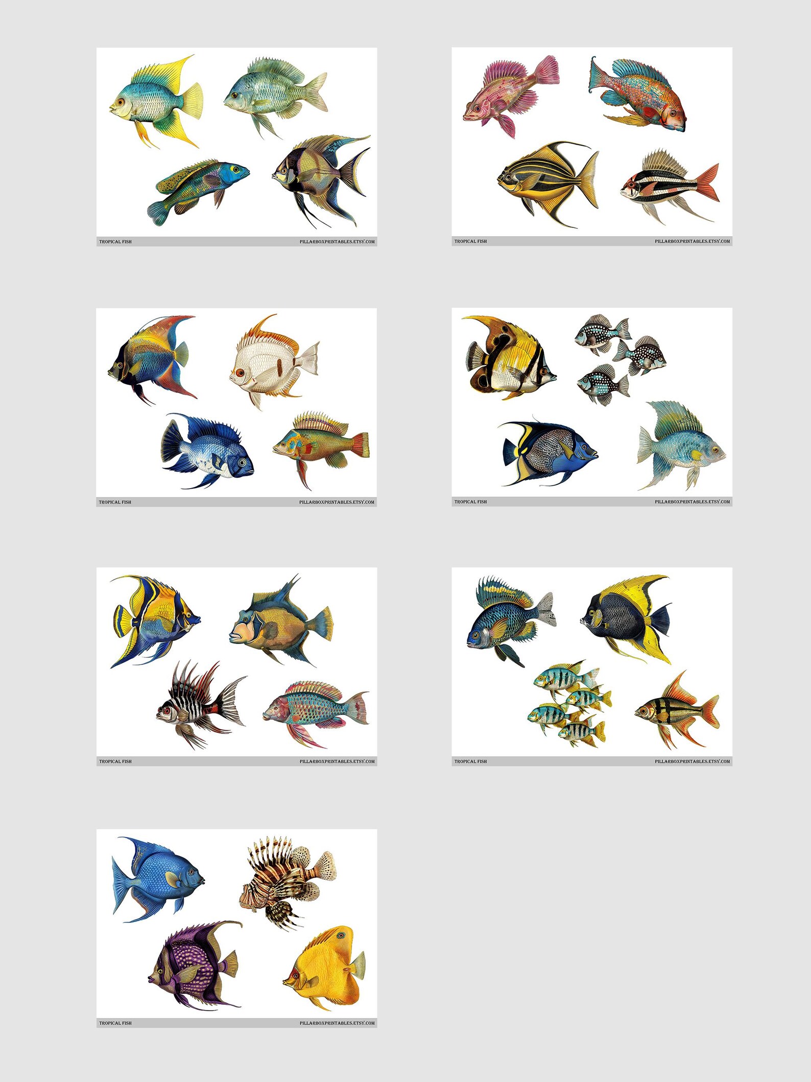 Tropical Fish Fussy Cut Printable Pages // 60 Vintage Inspired Image ...