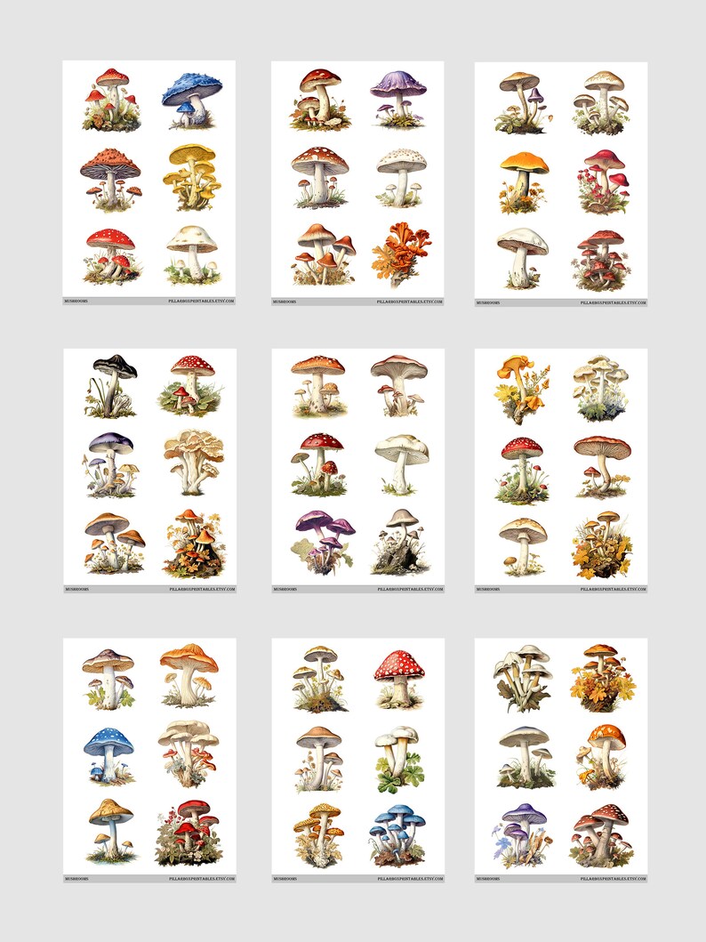 Mushrooms Printable Pages // 60 Vintage Inspired Fussy Cut Images ...
