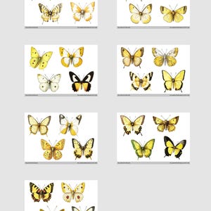 Yellow Butterfly Printable Pages // 60 Vintage Inspired Fussy Cut ...