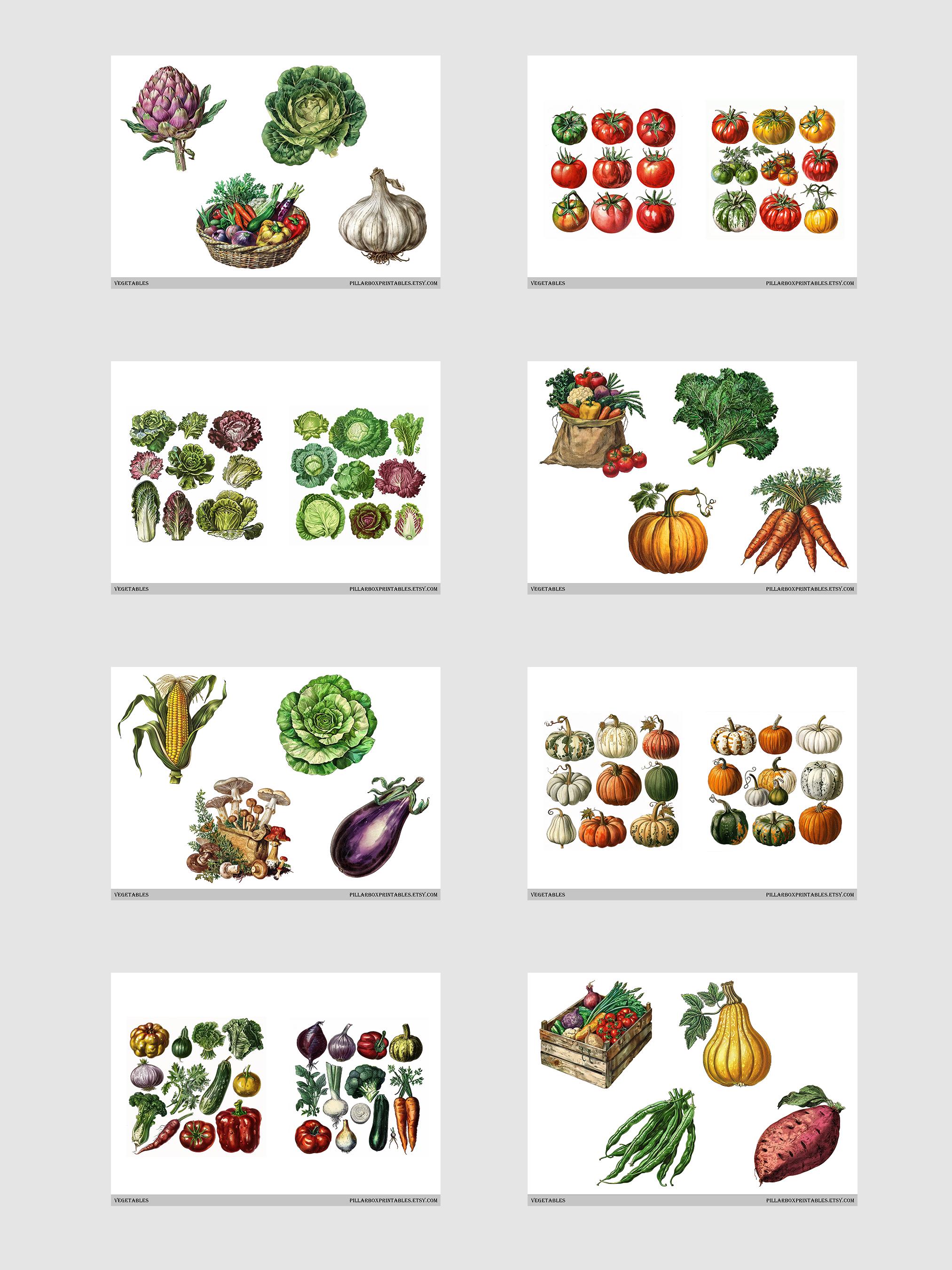 Vegetables Fussy Cut Printable Pages // 60 Vintage Inspired Images ...