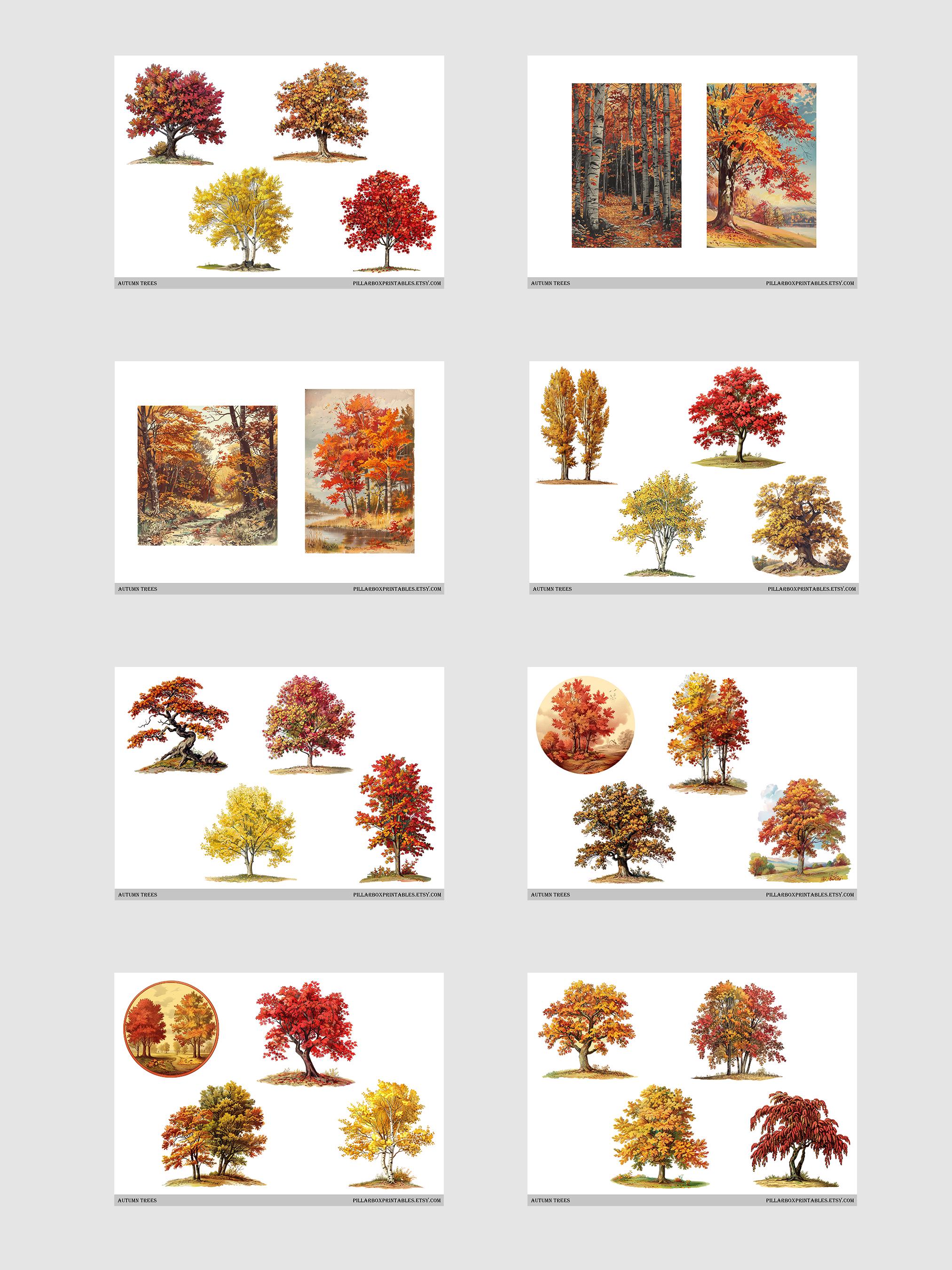 Autumn Trees Fussy Cut Printable Pages // 60 Clip Art Images // JPEG ...