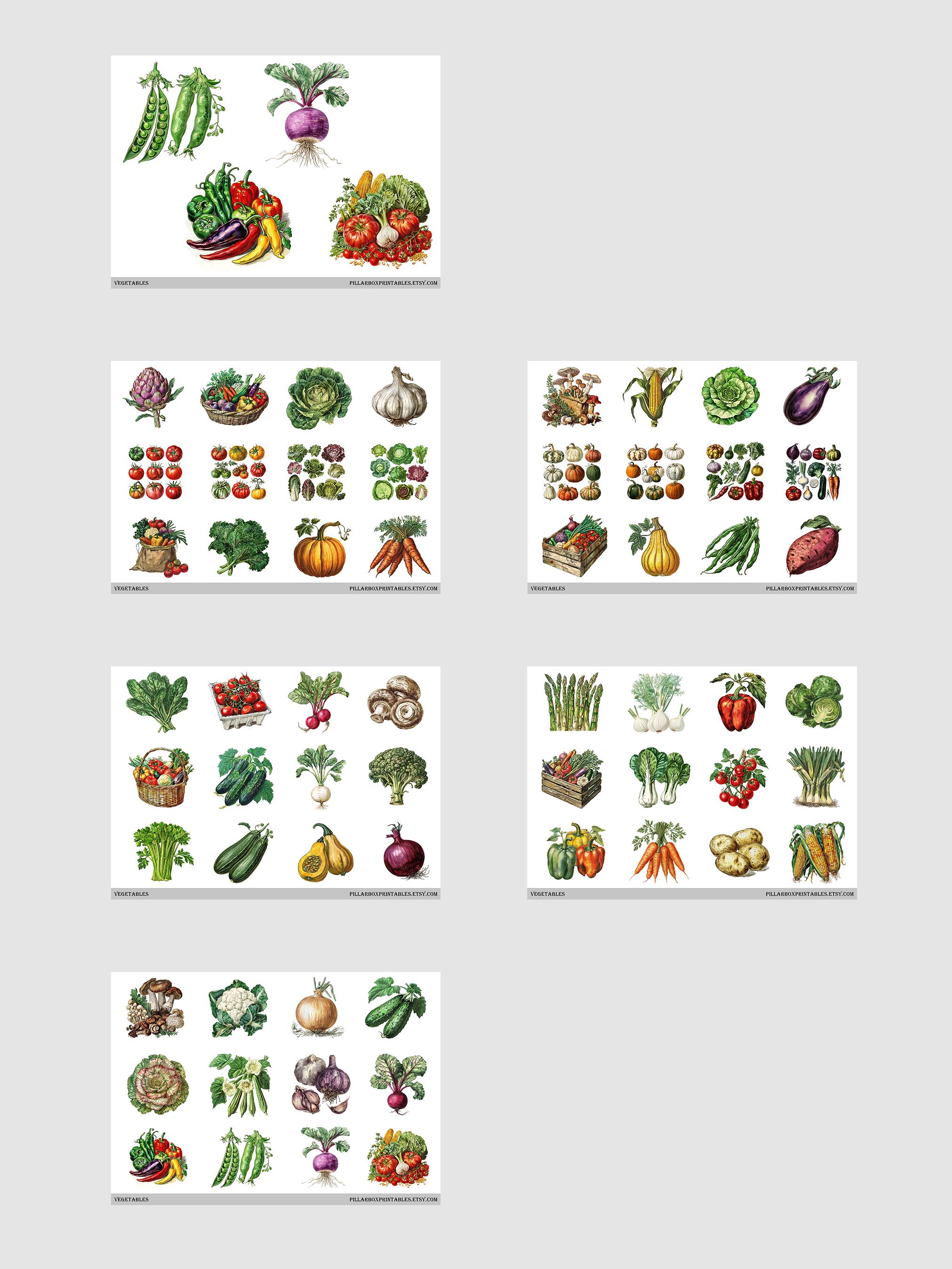 Vegetables Fussy Cut Printable Pages // 60 Vintage Inspired Images ...
