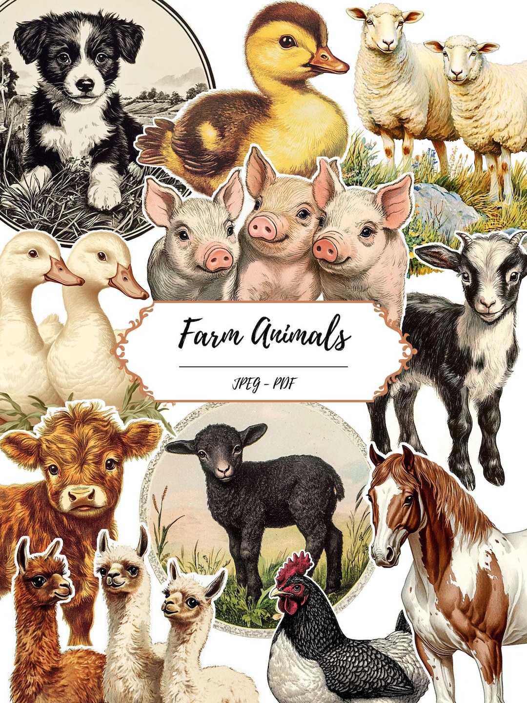 Farm Animals Fussy Cut Printable Pages // 60 Vintage Inspired Image Lot ...