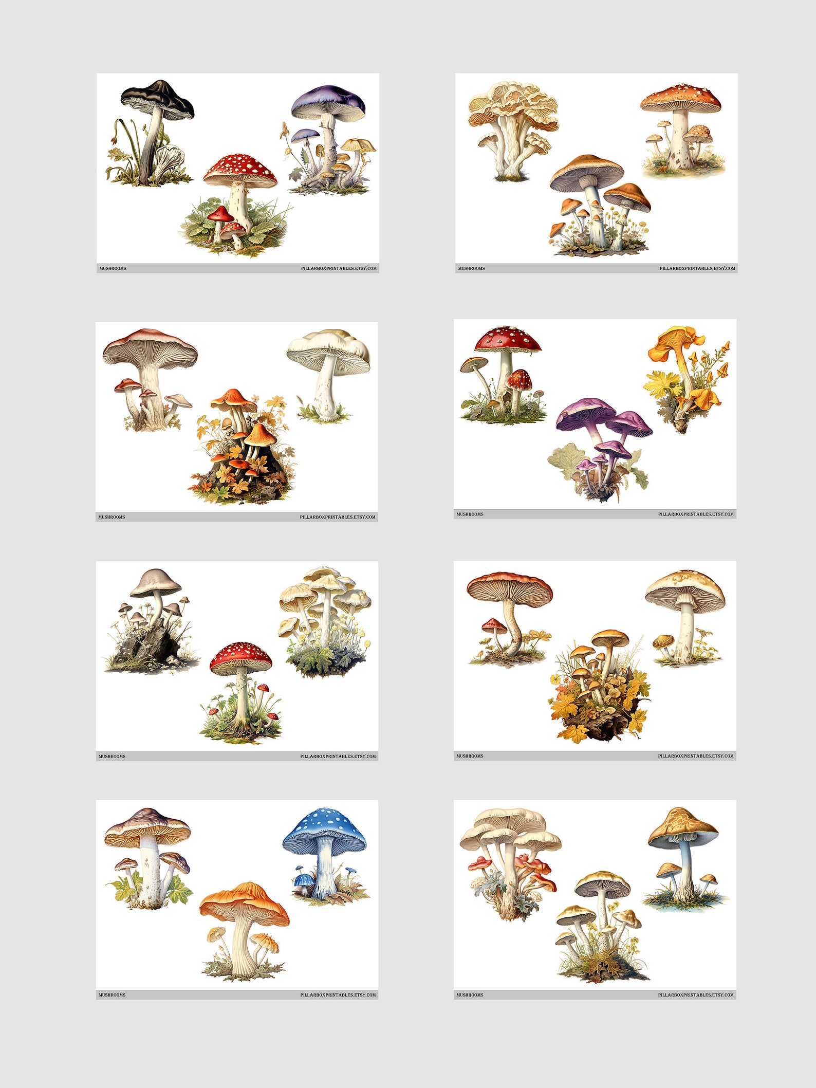 Mushrooms Printable Pages // 60 Vintage Inspired Fussy Cut Images ...