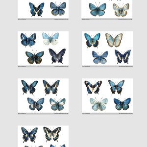 Blue Butterfly Printable Ephemera Pages // 60 Vintage Inspired Fussy ...