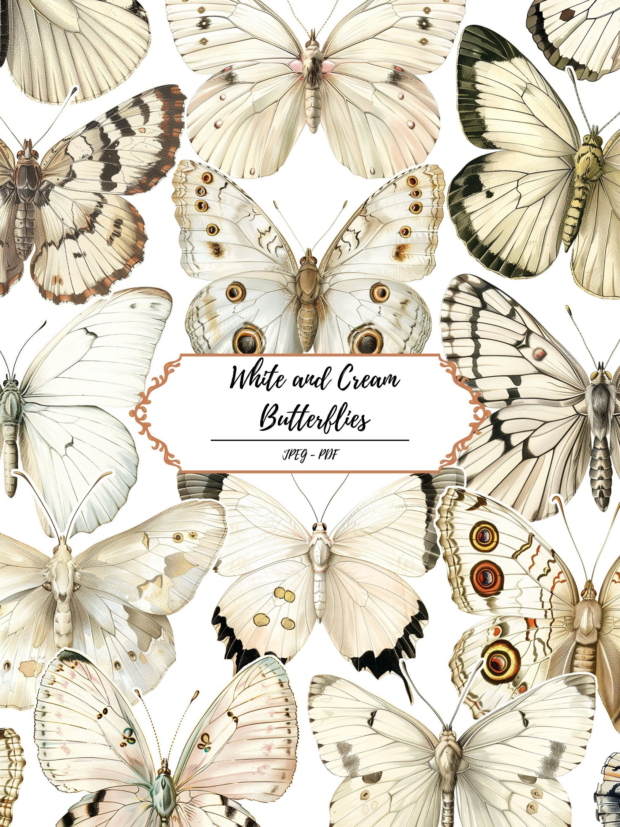 White and Cream Butterflies Printable Clip Art // 60 Vintage Inspired ...