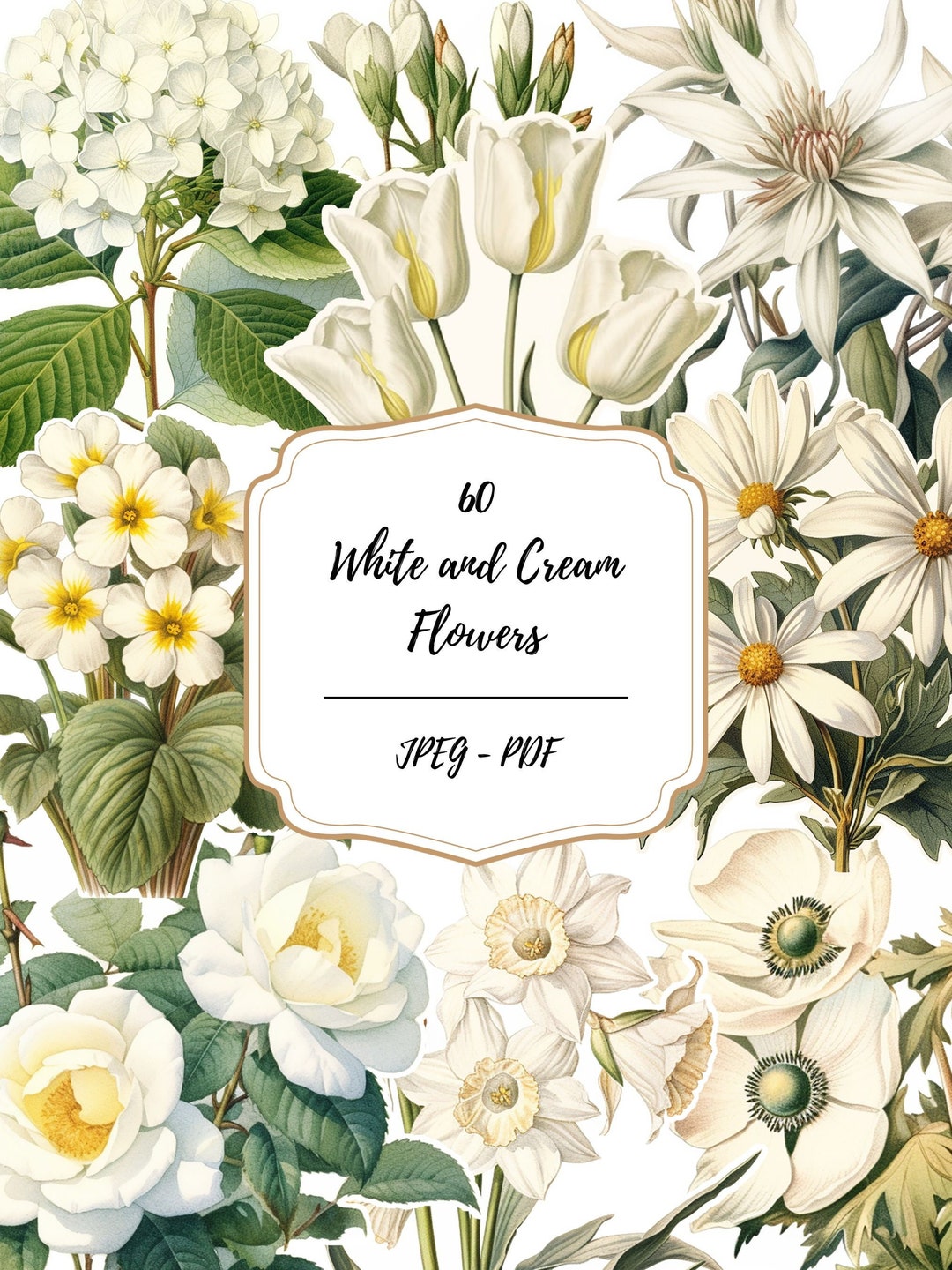White and Cream Flowers Printable Pages // 60 Vintage Inspired - Etsy