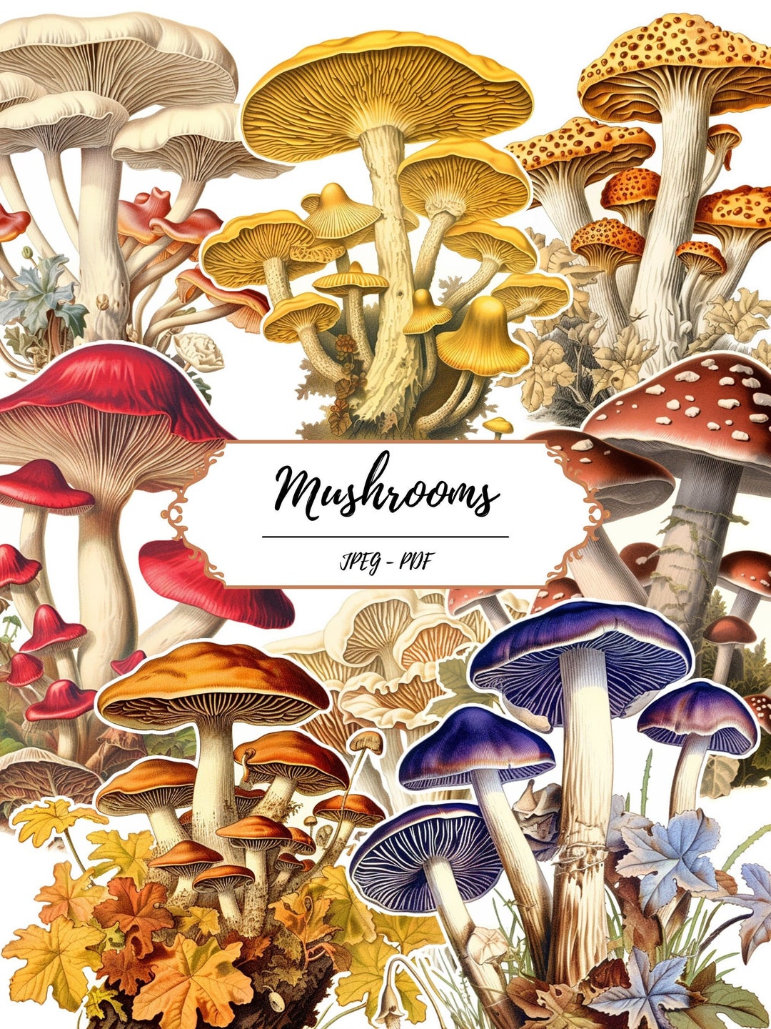 Mushrooms Printable Pages // 60 Vintage Inspired Fussy Cut Images ...