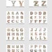 Shabby Chic Alphabet Printable Pages // 104 Fussy Cut Images // Floral ...