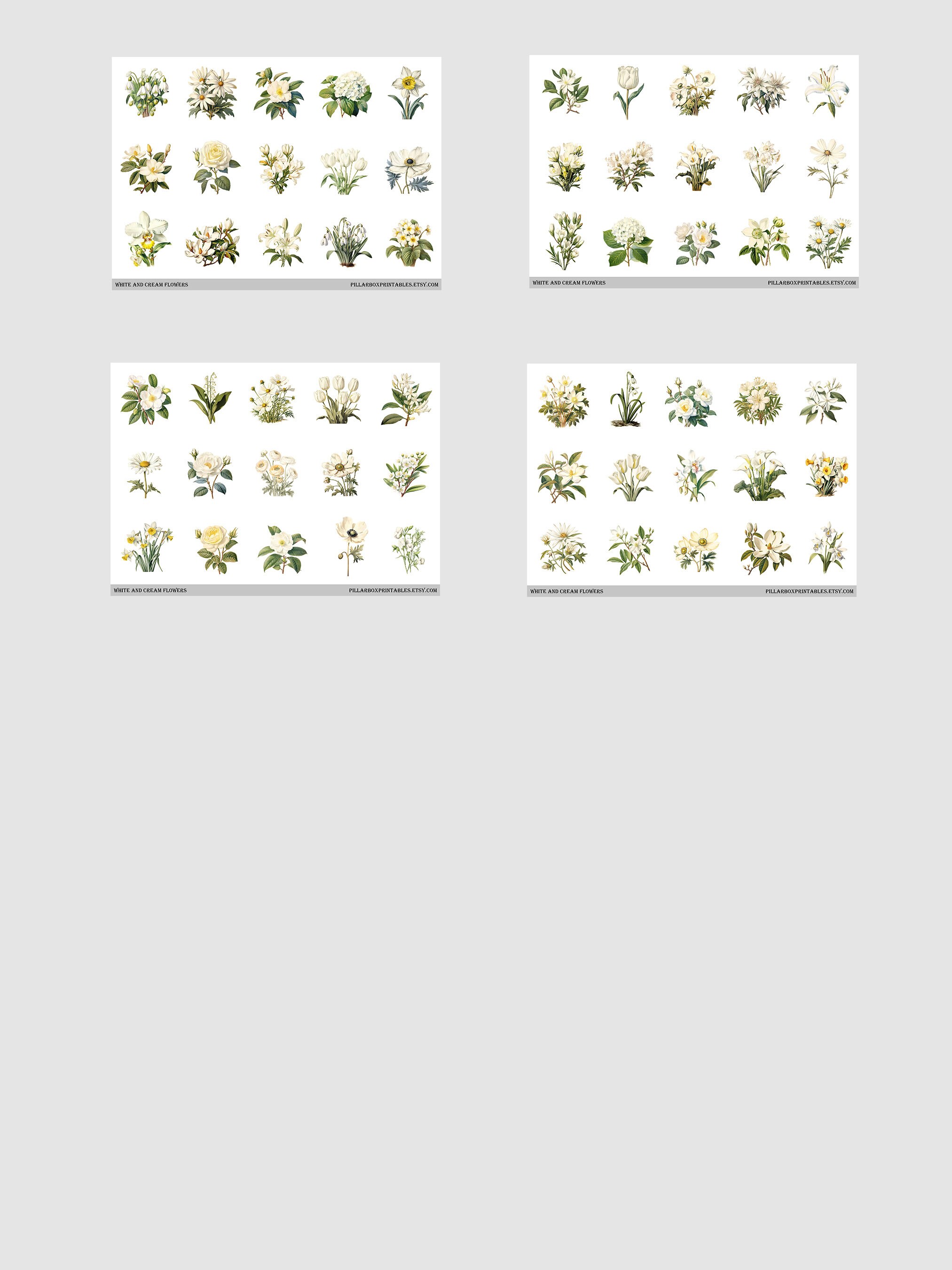 White and Cream Flowers Printable Pages // 60 Vintage Inspired Fussy ...