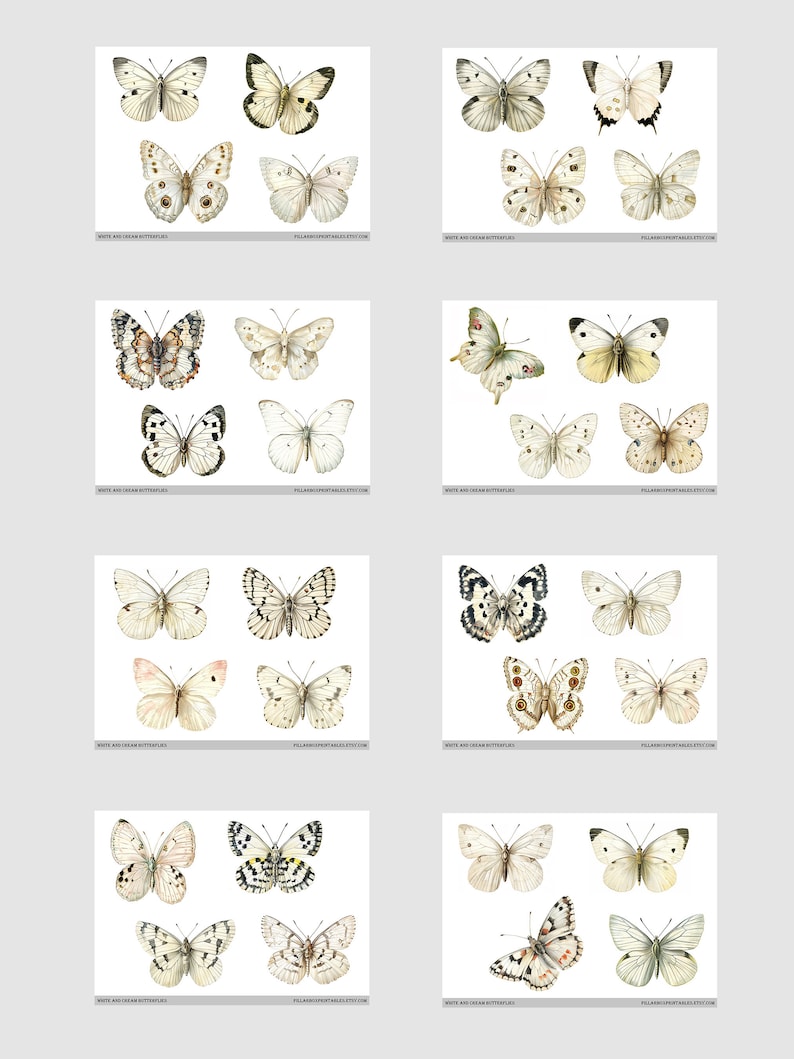 White and Cream Butterflies Printable Clip Art // 60 Vintage Inspired ...