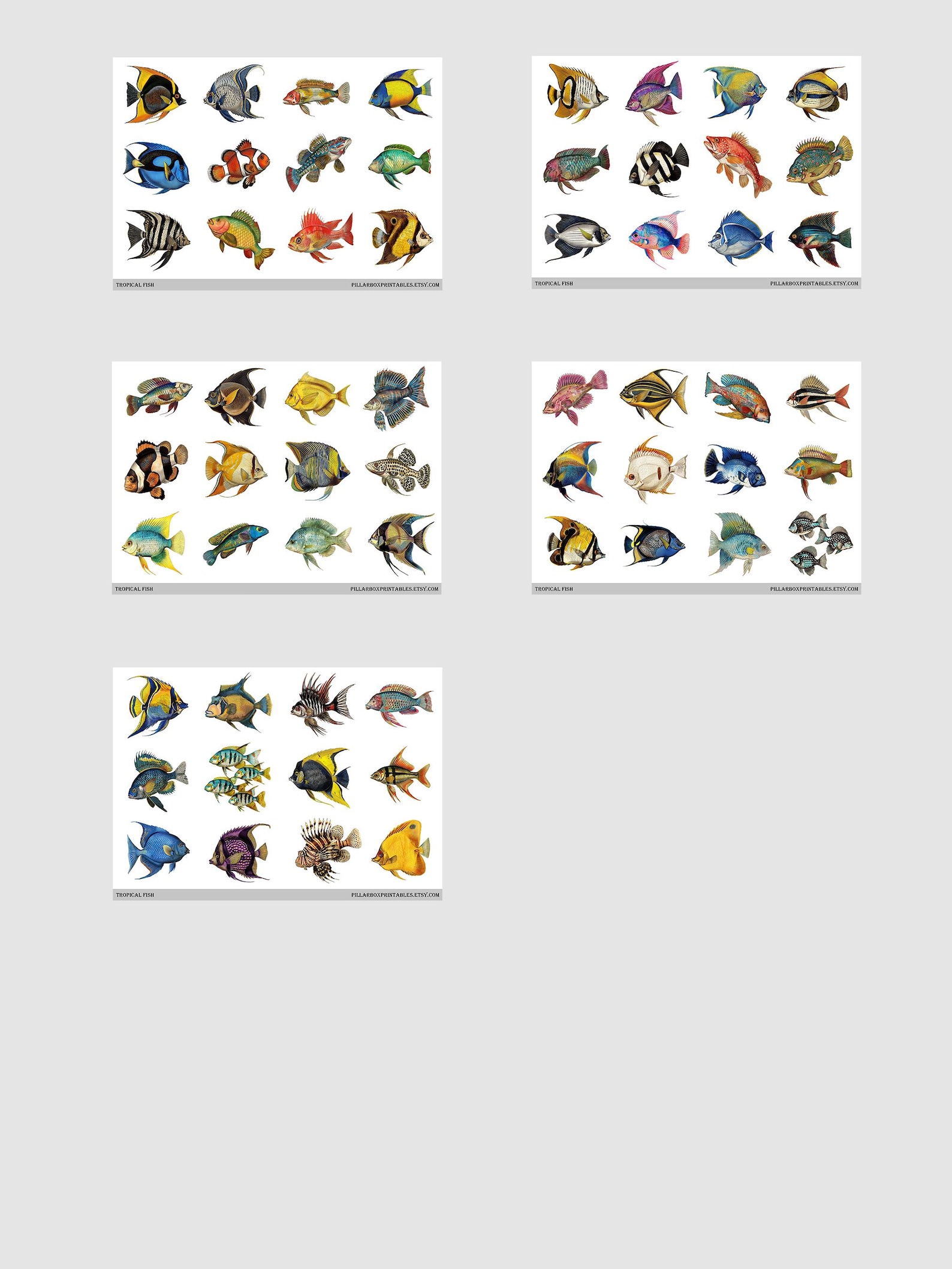 Tropical Fish Fussy Cut Printable Pages // 60 Vintage Inspired Image ...